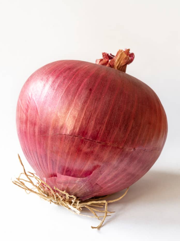 Single Onion